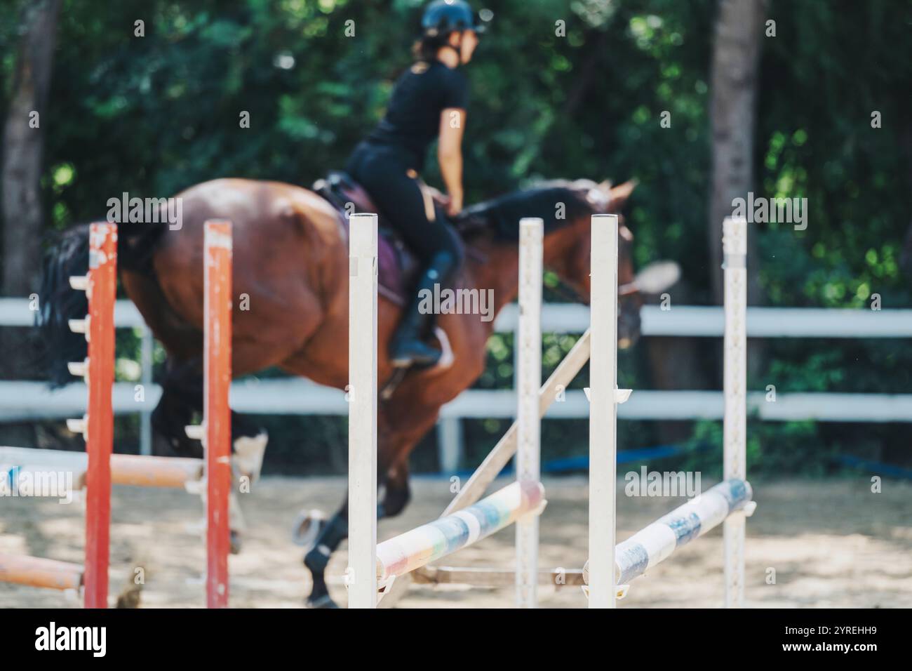 Equestrian athlete practicing jumping obstacles in horse riding ...