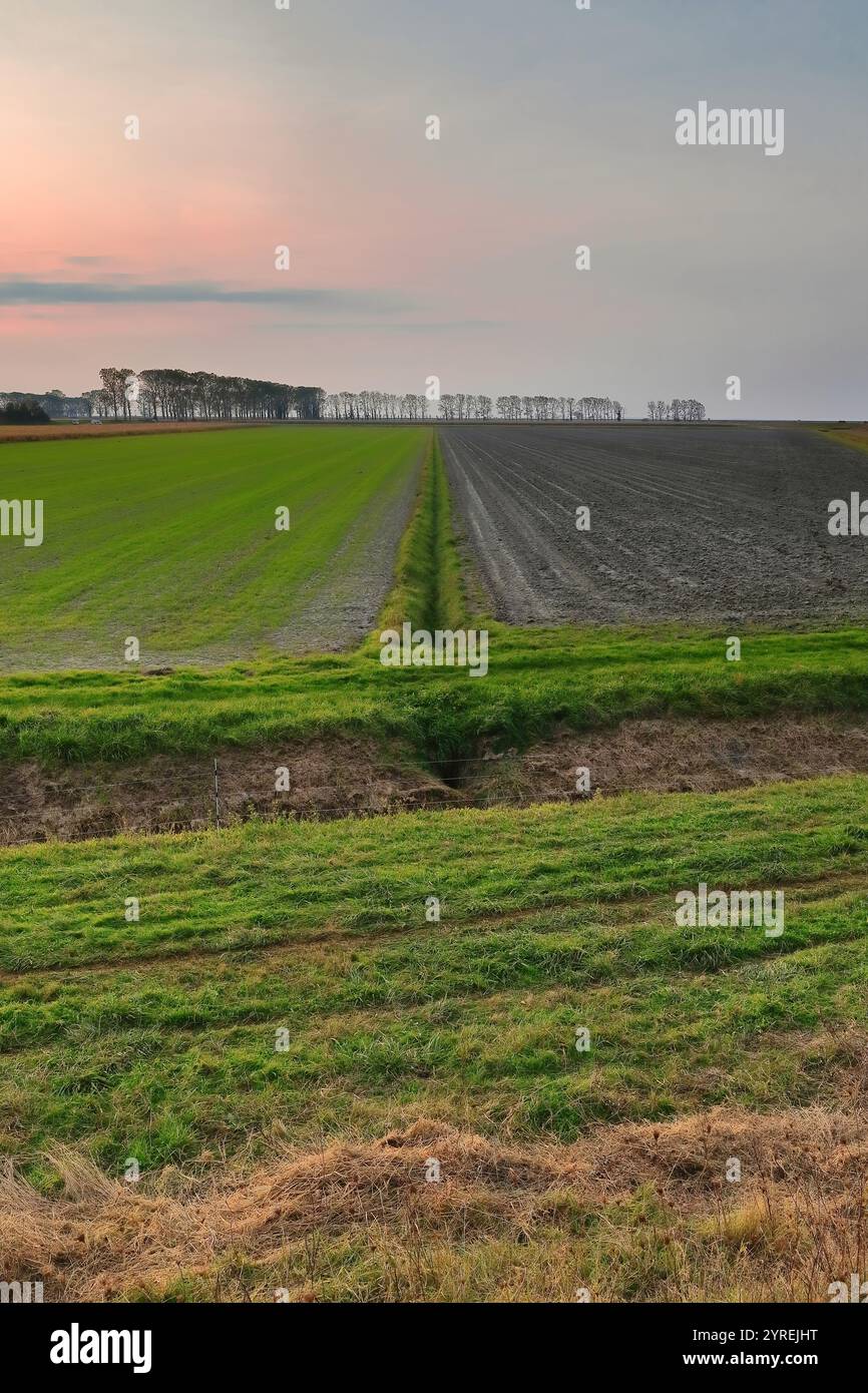 075 Farmlands to the west of the Mont-Saint-Michel abbey, early sunset ...