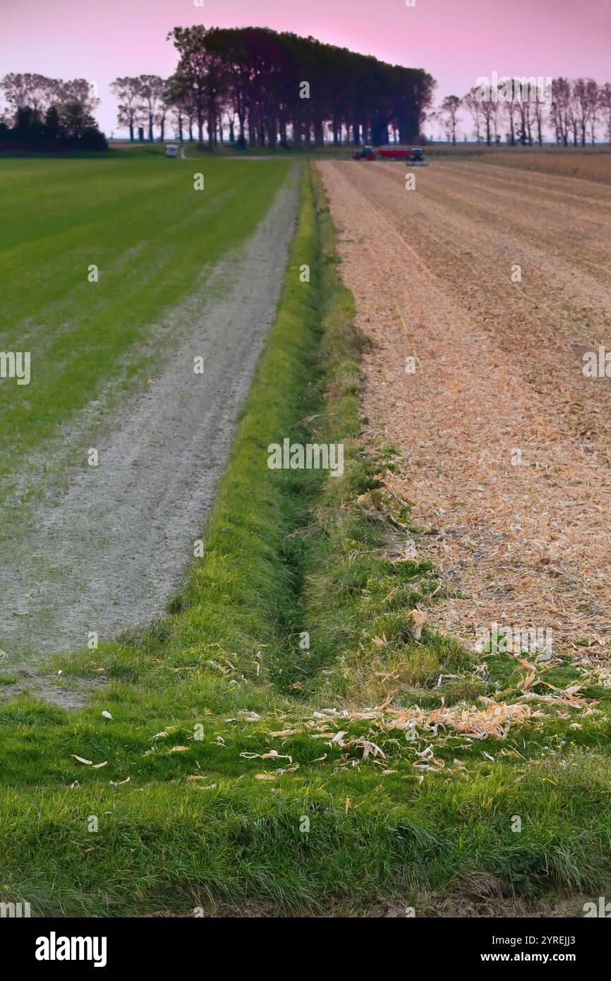 077 Farmlands to the west of the Mont-Saint-Michel abbey, early sunset ...