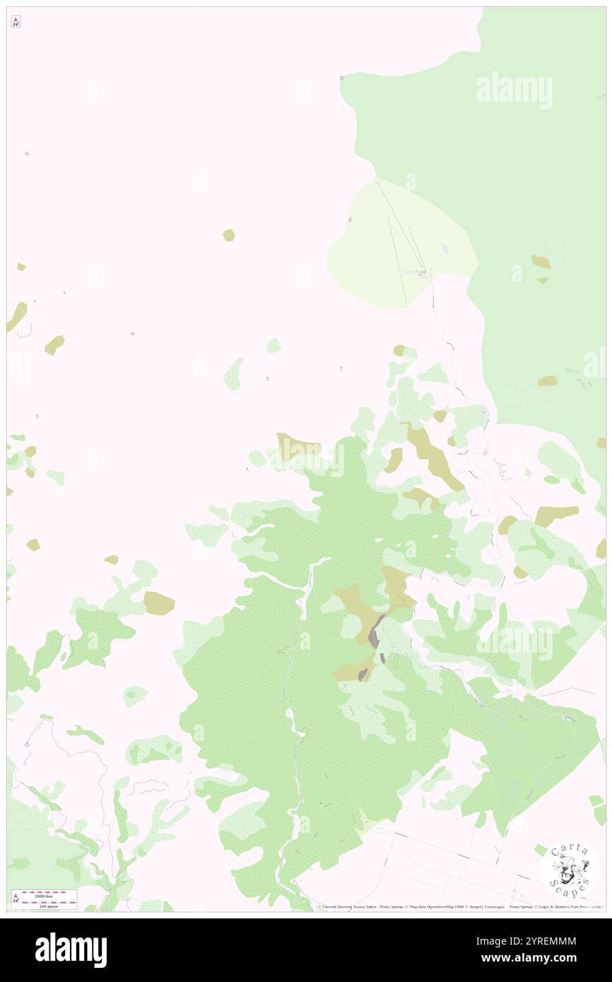 MOUNT HUTT FOREST, , NZ, New Zealand, Canterbury, S 43 31' 5'', N 171 ...