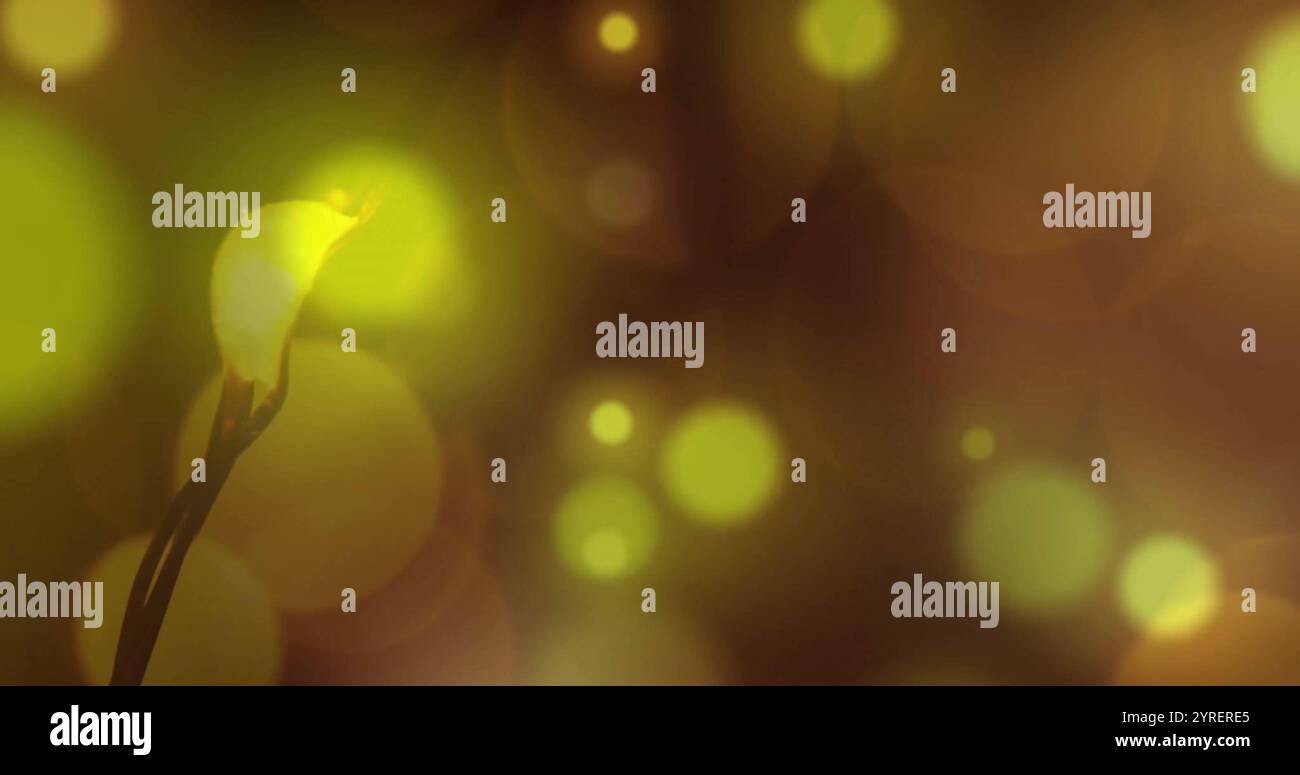 Image of glowing spots of light on dark background Stock Photo - Alamy