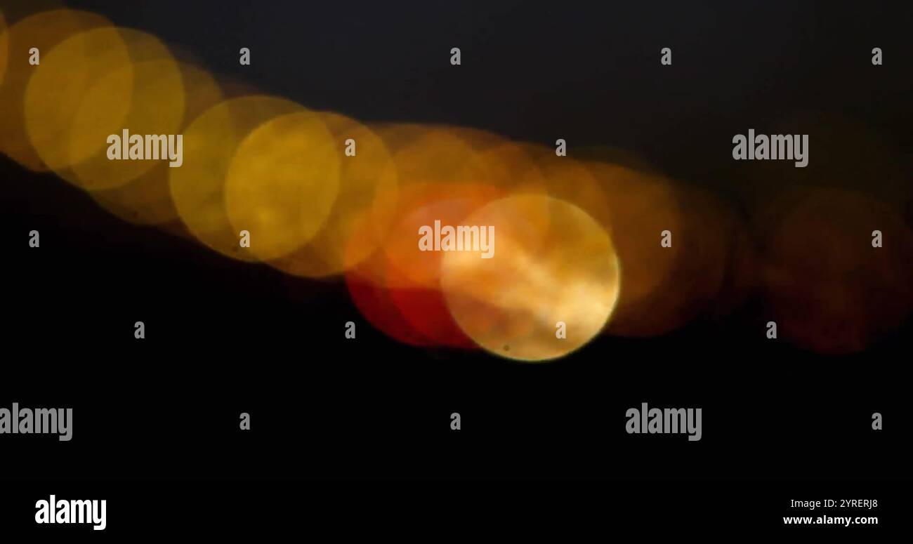 Image of glowing spots of light on black background Stock Photo - Alamy