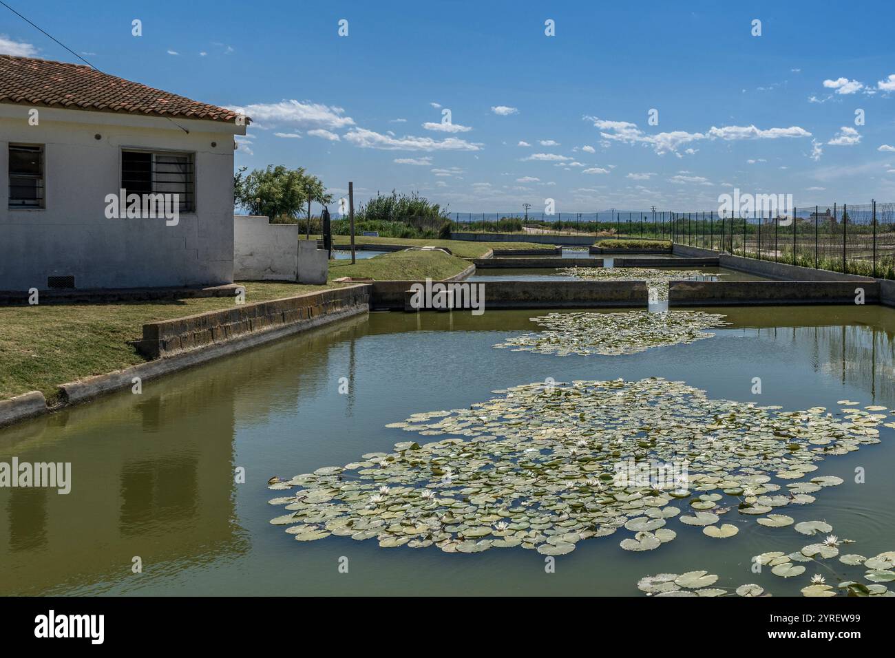 Albufera Natural Park (Parc Natural de l'Albufera) The Albufera (the ...