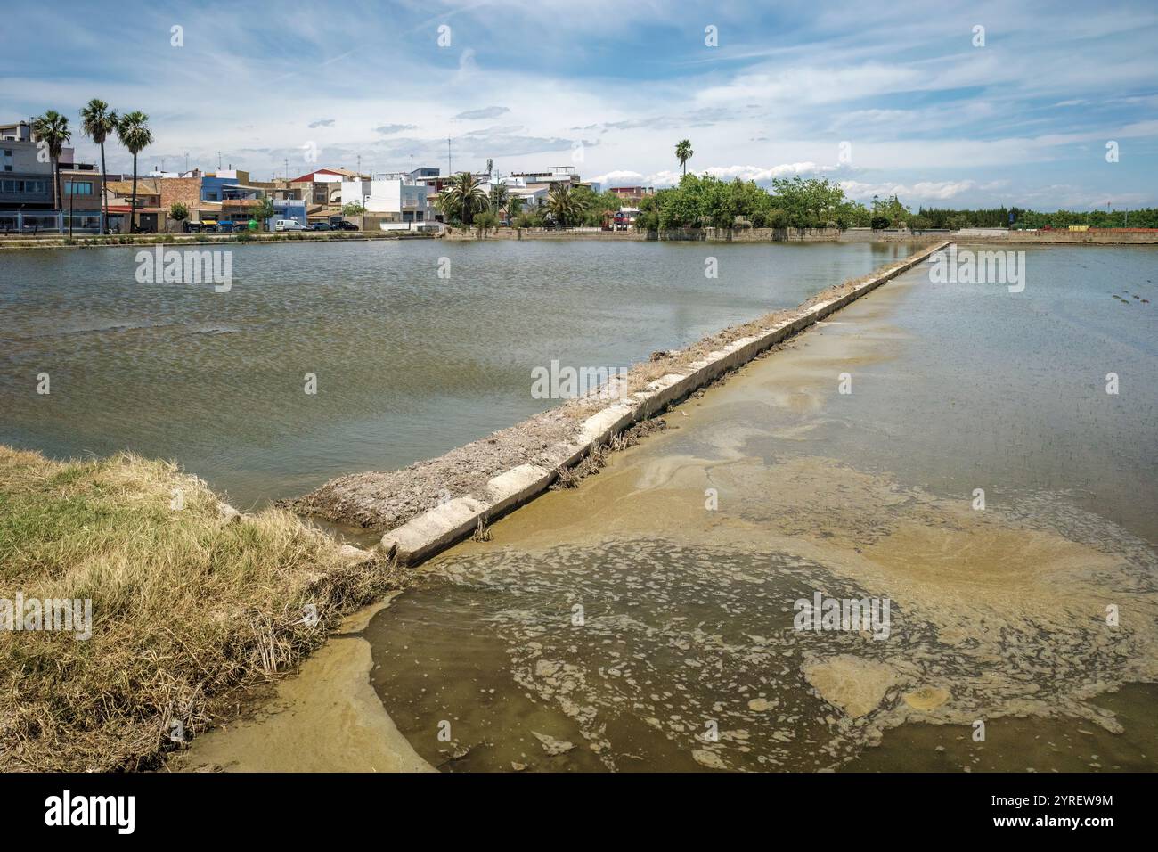 Albufera Natural Park (Parc Natural de l'Albufera) The Albufera (the ...