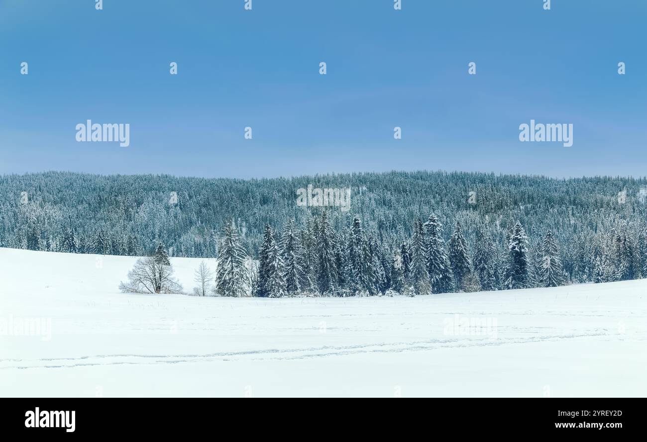 Winter landscape showing a snow covered field and forest in koscielisko ...