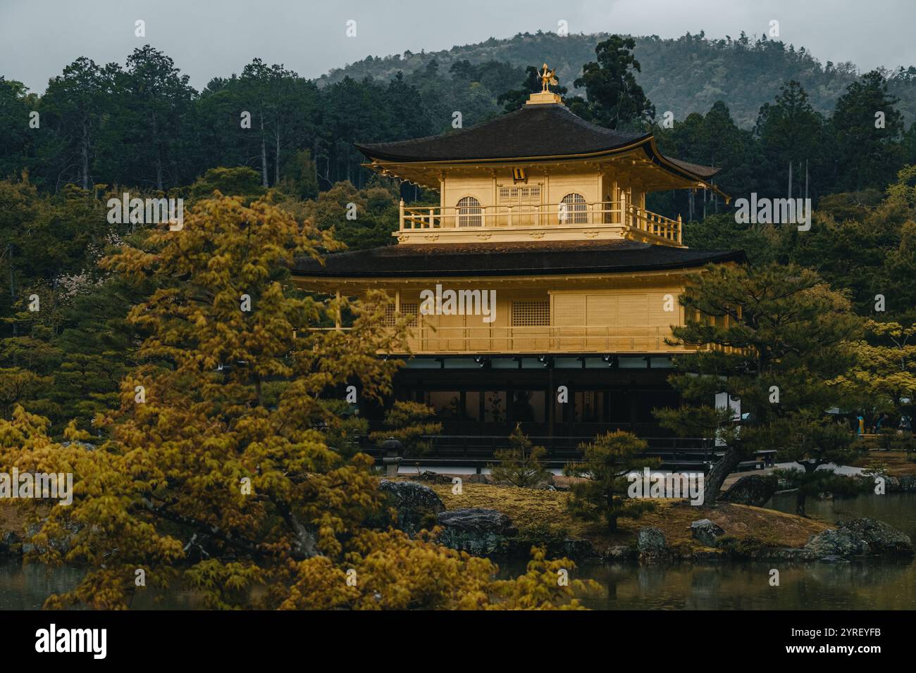 The Temple of the Golden Pavilion in Kyoto, known as Kinkaku-ji, stands ...