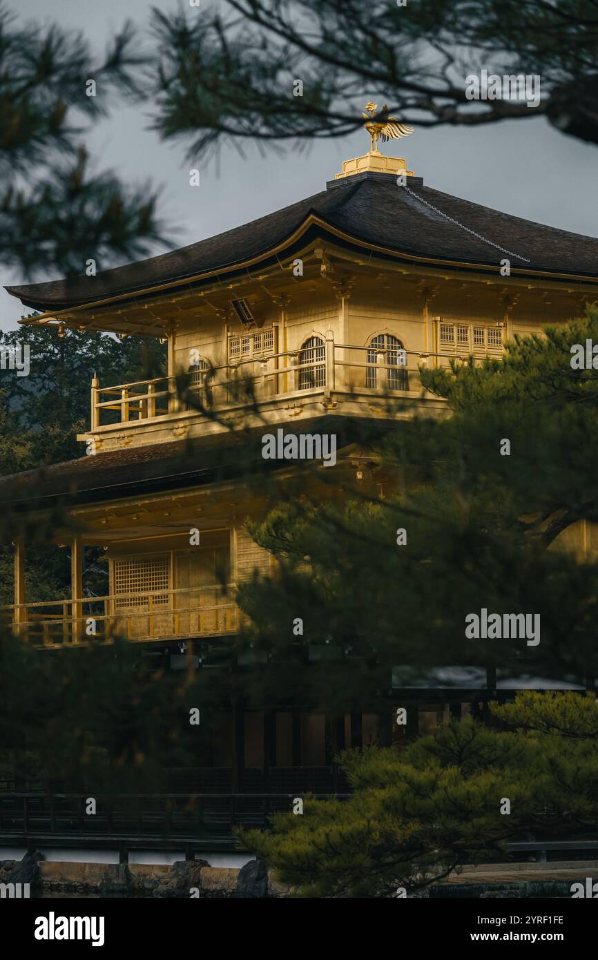 The Temple of the Golden Pavilion in Kyoto, known as Kinkaku-ji, stands ...