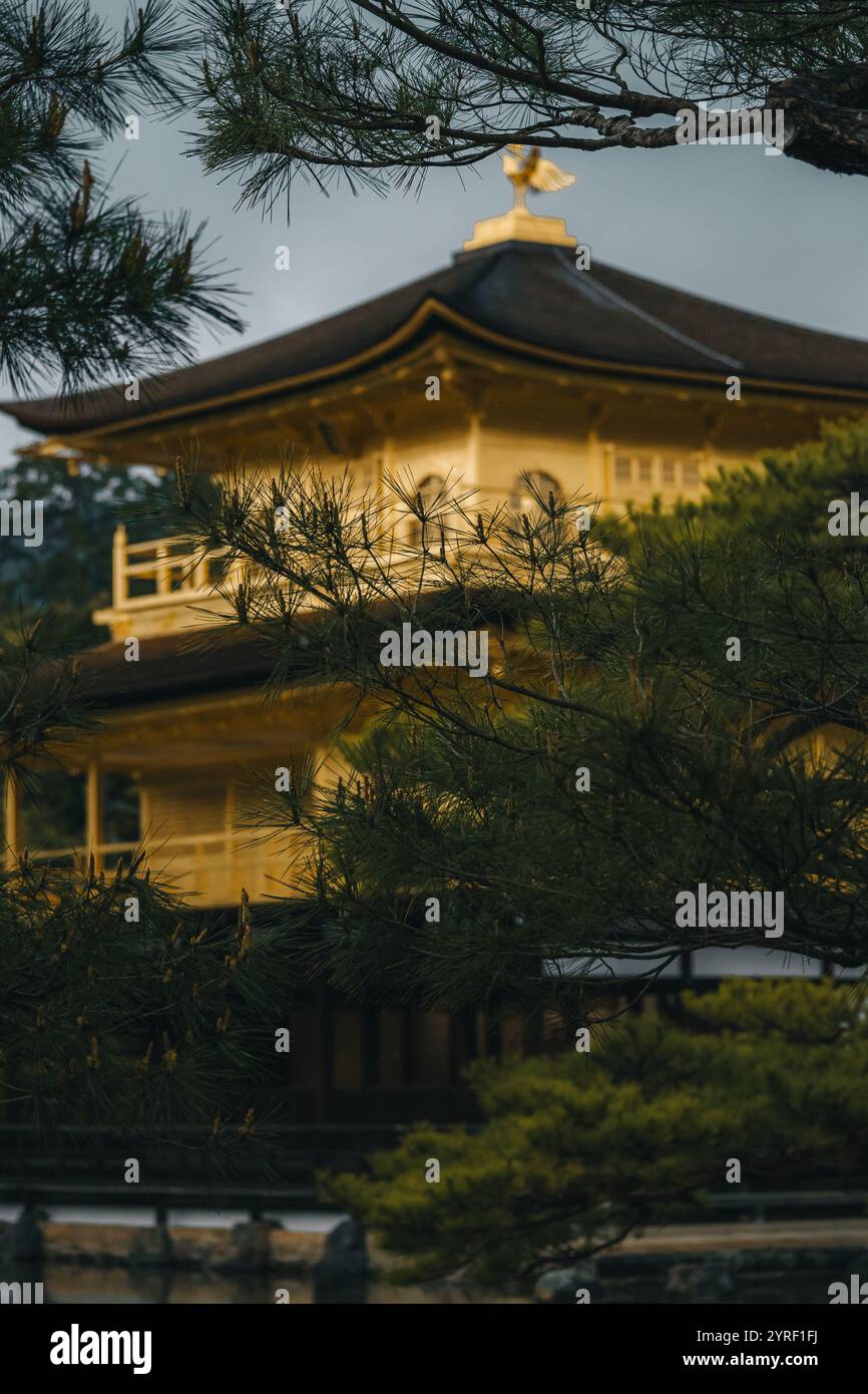 The Temple of the Golden Pavilion in Kyoto, known as Kinkaku-ji, stands ...