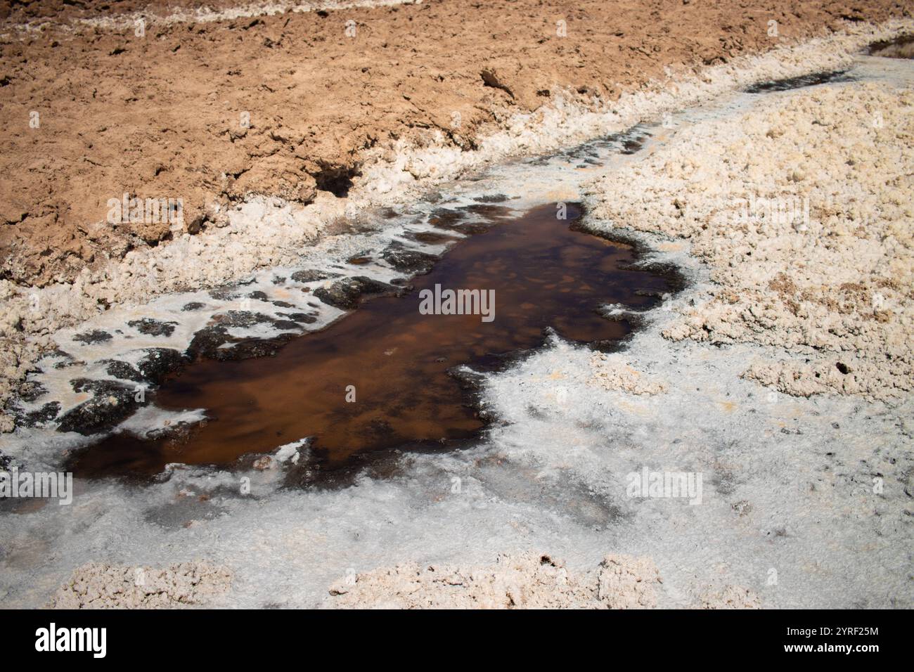A detailed view of a saline pool with mineral deposits in the Atacama ...