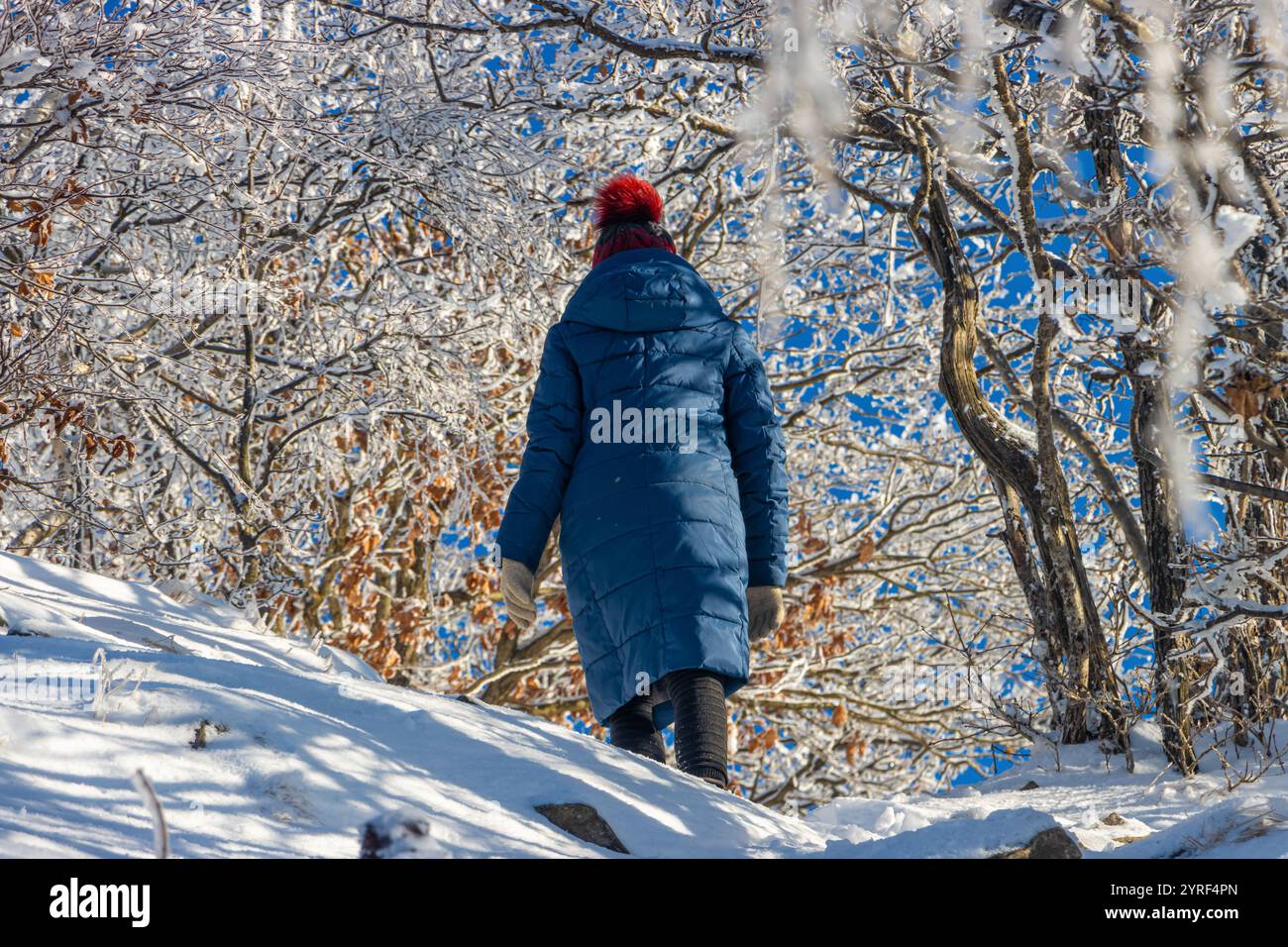 Tourist walks walk in hi-res stock photography and images - Alamy