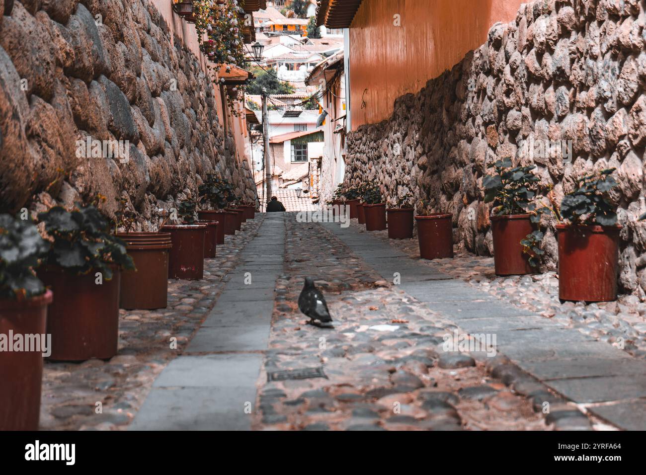 Cusco is a historic city located in Peru that was once the capital of ...