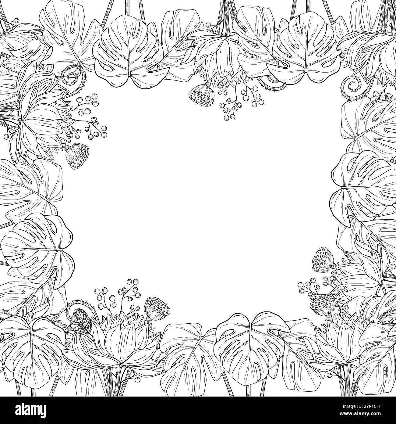 An elegant, sketchstyle tropical floral border that is perfect for ...