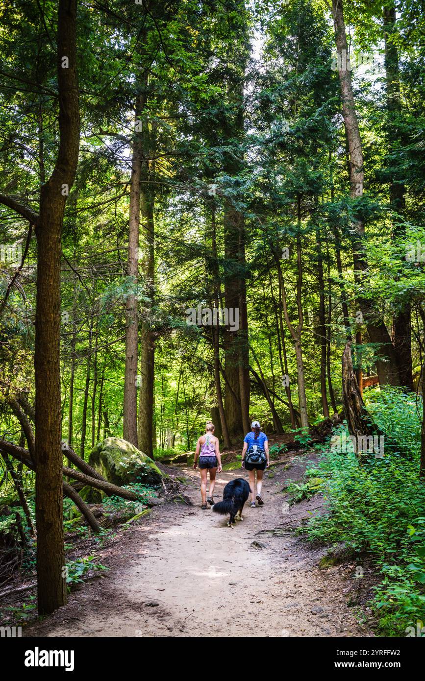 Hiking trail cleveland national forest hi-res stock photography and ...