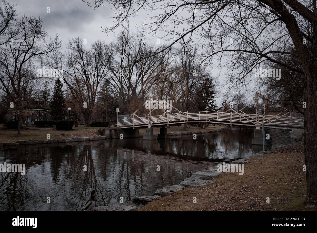 Old park in dark tones. feeling of eeriness and mysticism, ghosts ...