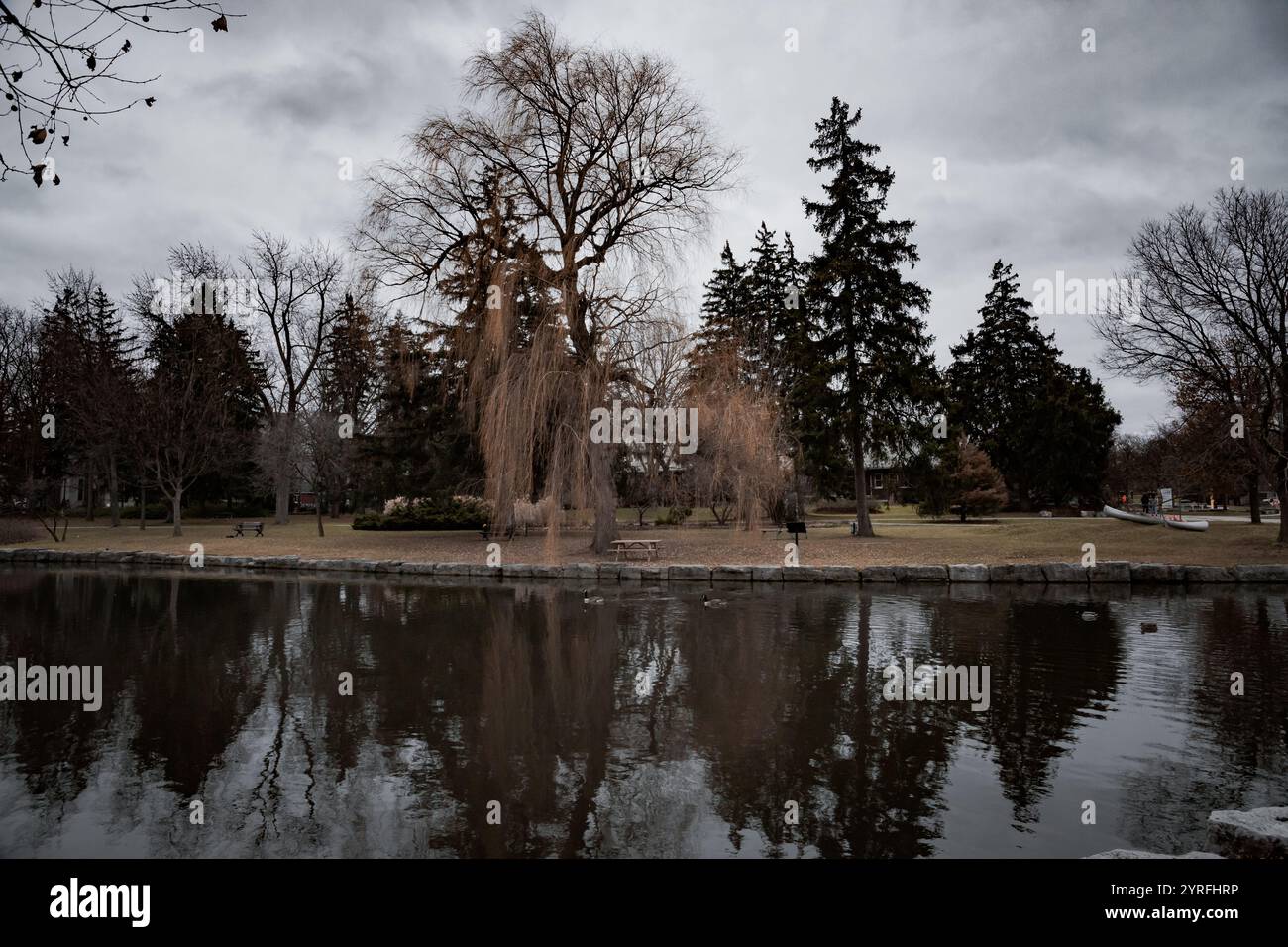 Old park in dark tones. feeling of eeriness and mysticism, ghosts ...
