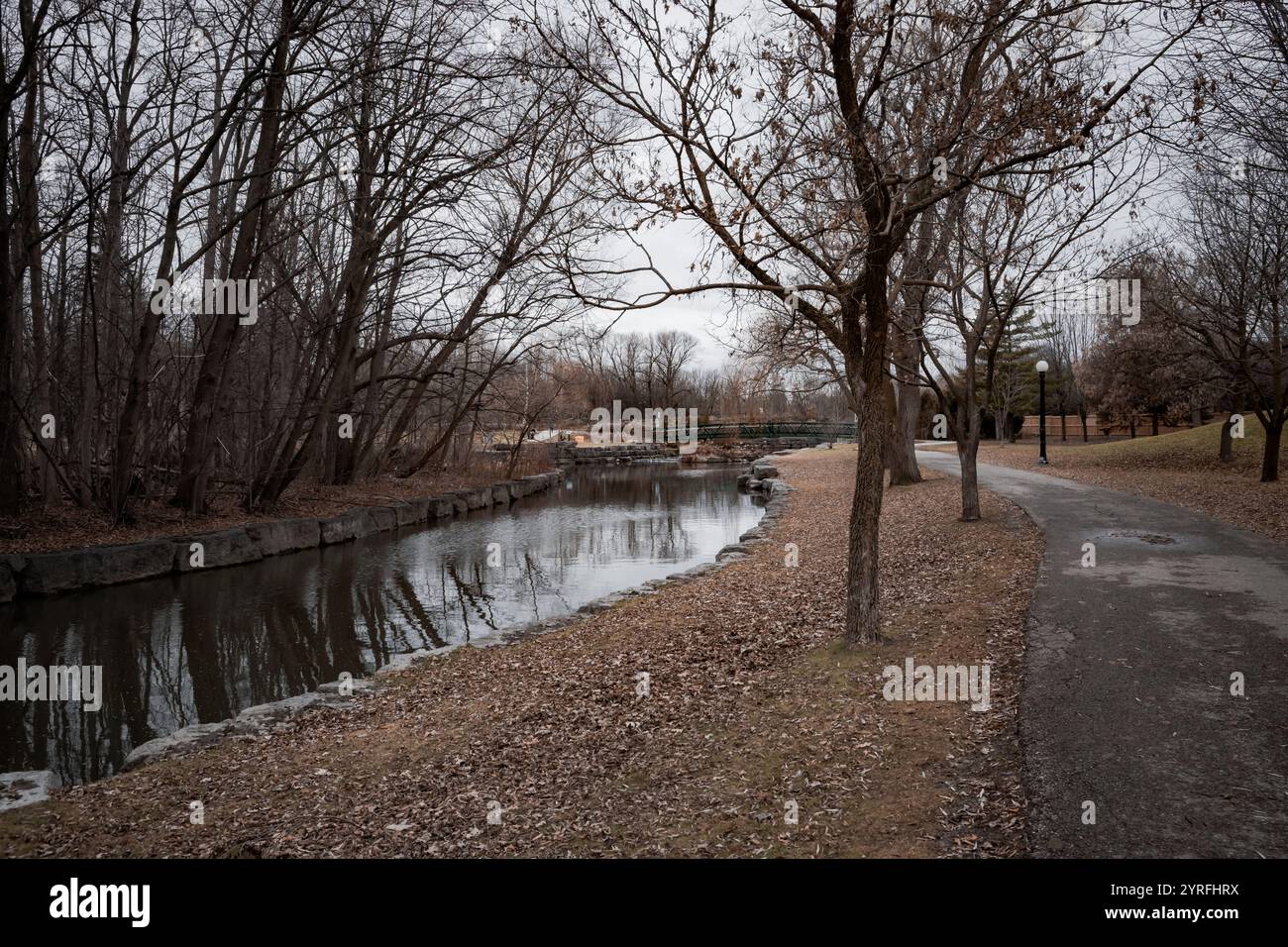 Old park in dark tones. feeling of eeriness and mysticism, ghosts ...