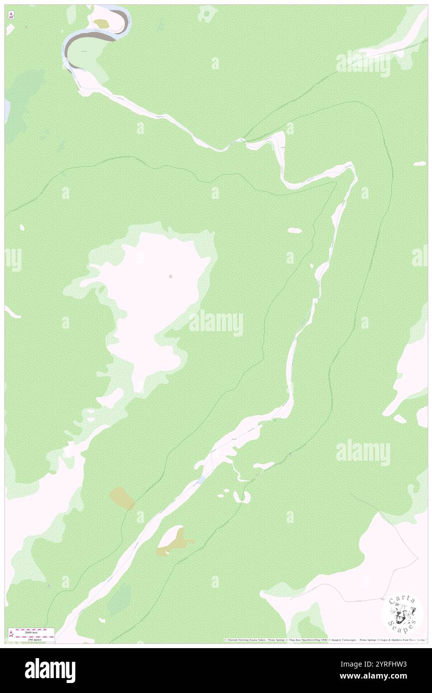 Anise spur hi-res stock photography and images - Alamy