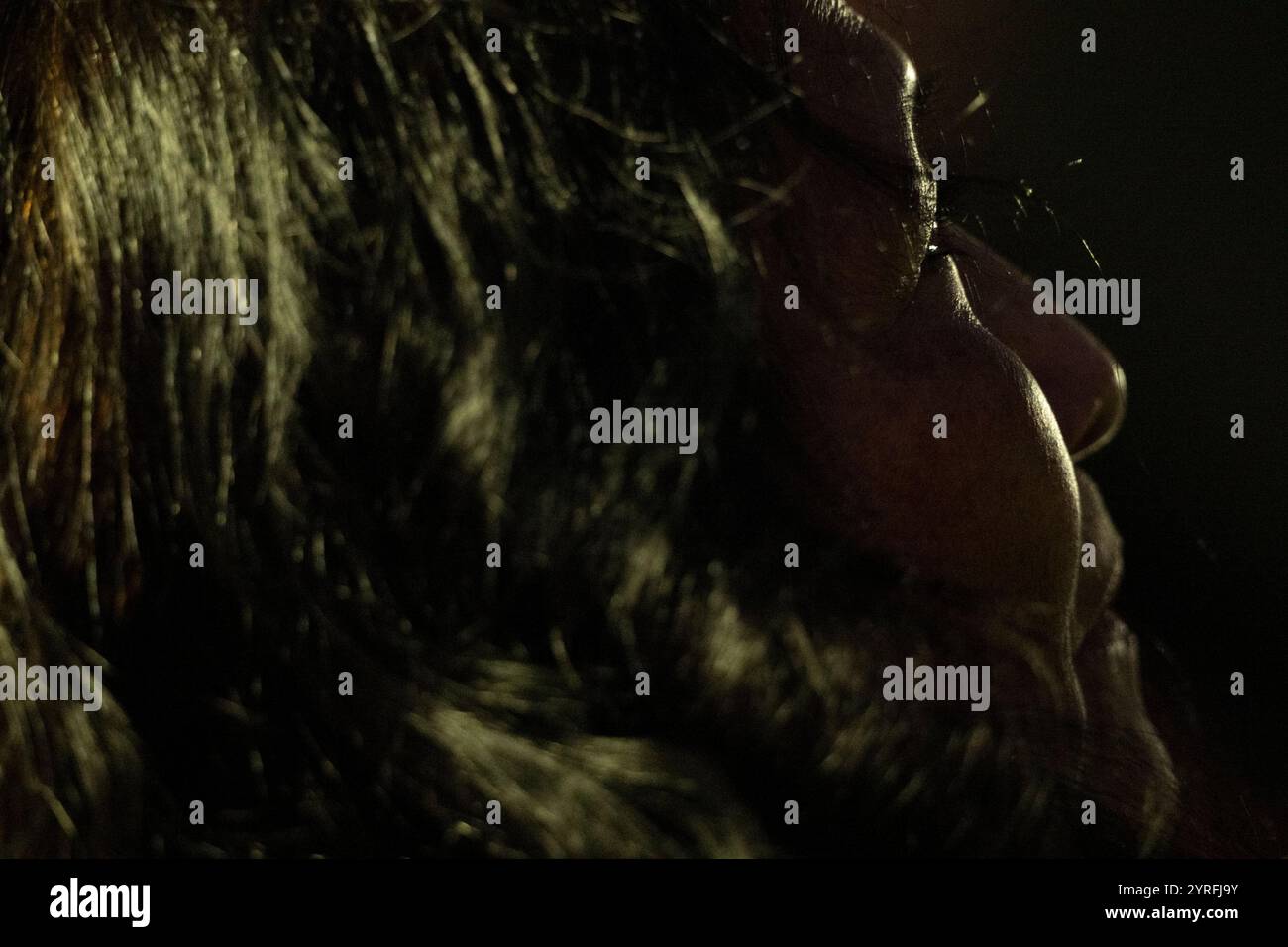 Washington, United States Of America. 03rd Dec, 2024. Rose Dunleavy ...