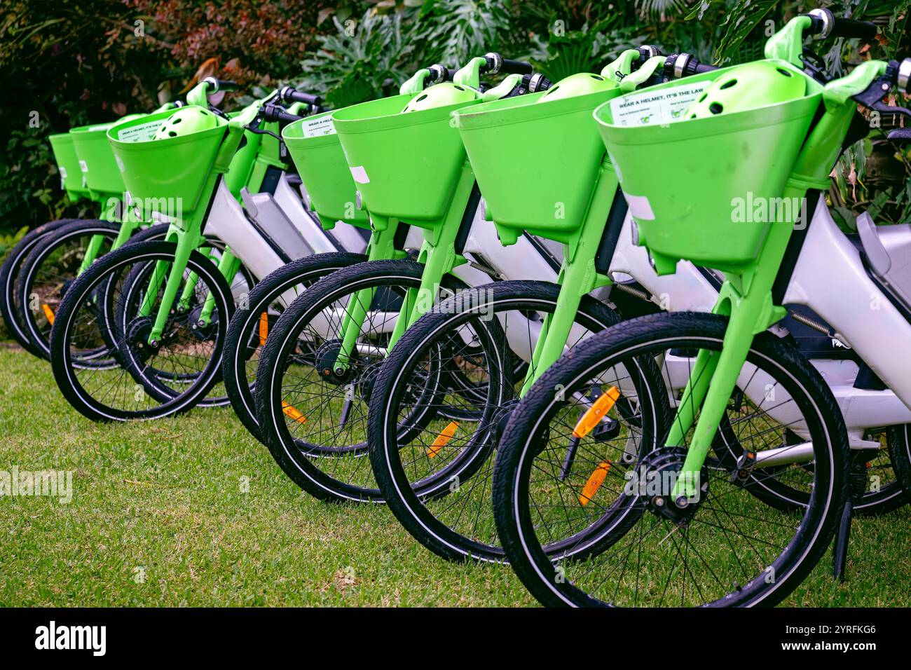 bikes bicycles city community communal transportation, green public ...
