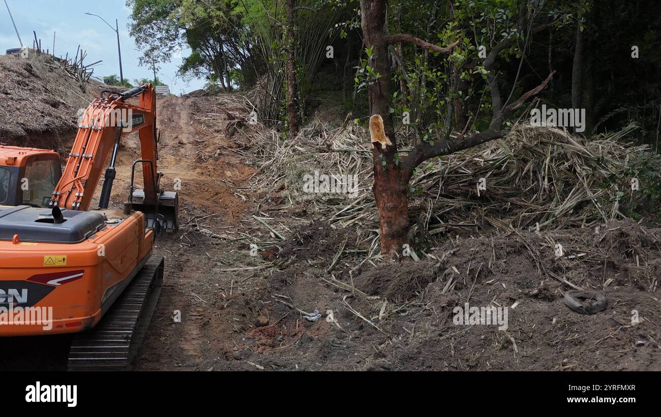 Deforestation for implementation of the VLT salvador, bahia, brazil ...