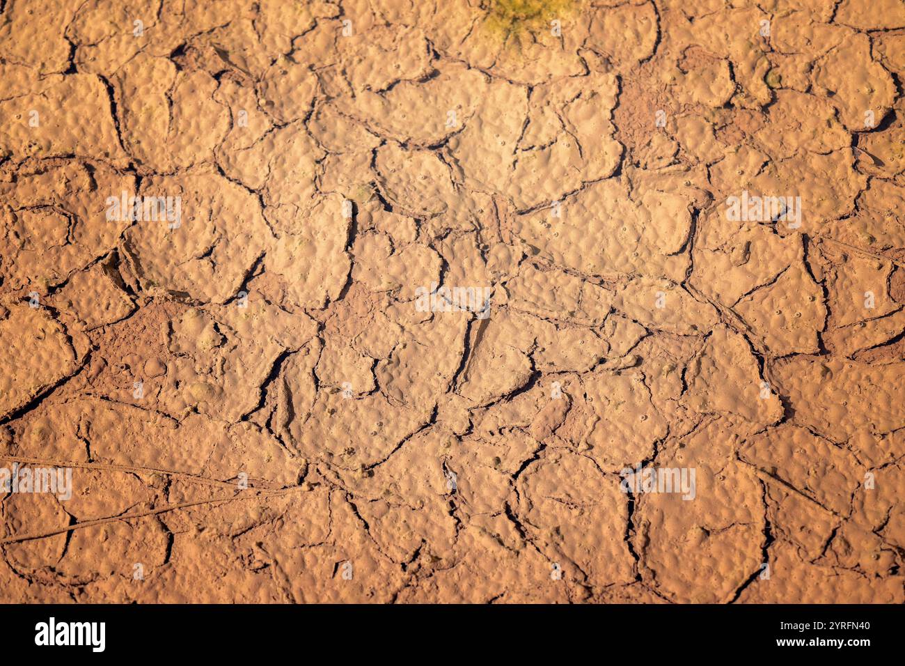 cracked mud ground dirt, abstract backgrounds texture pattern wallpaper ...
