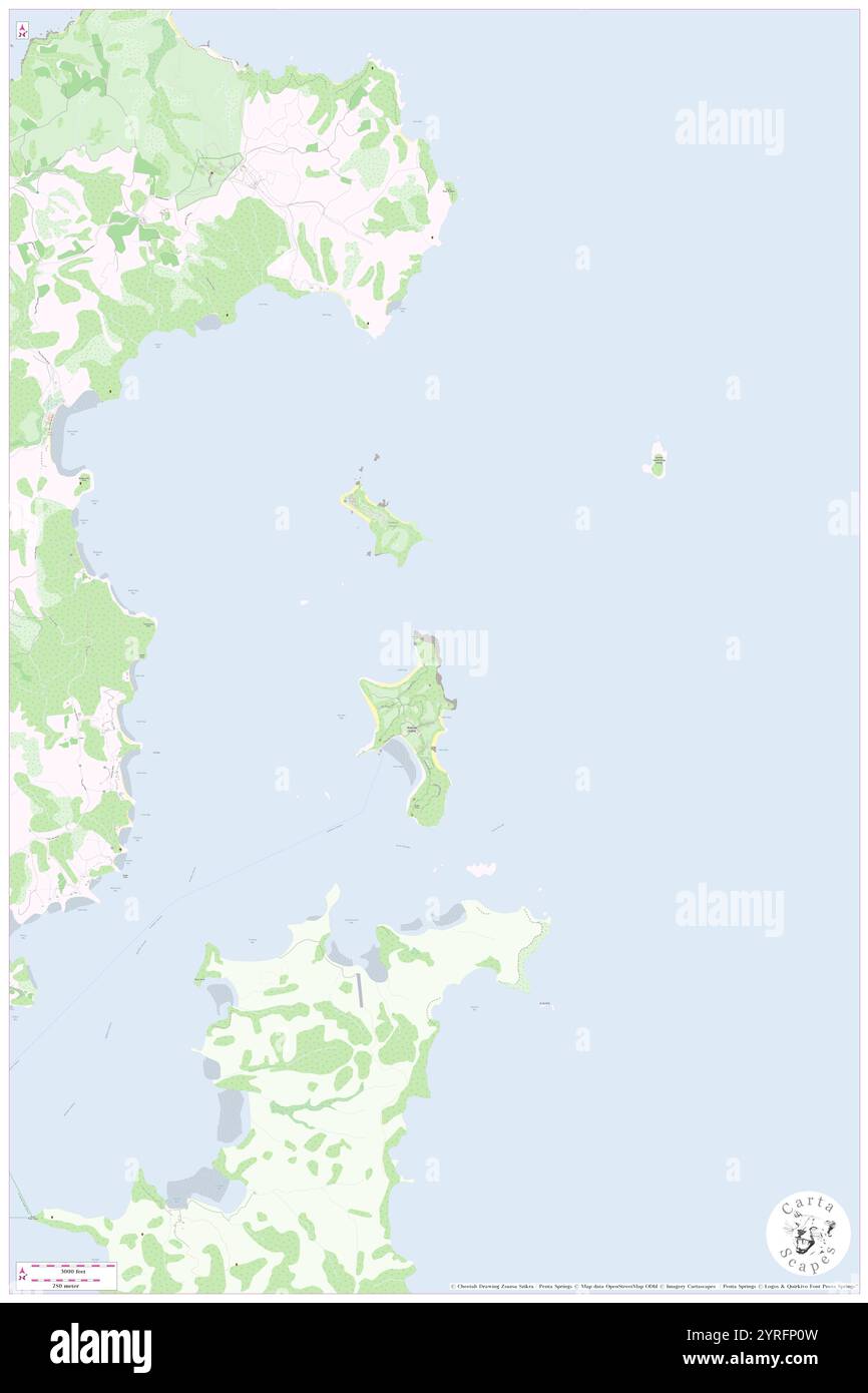 Ladies' bay new zealand hi-res stock photography and images - Alamy