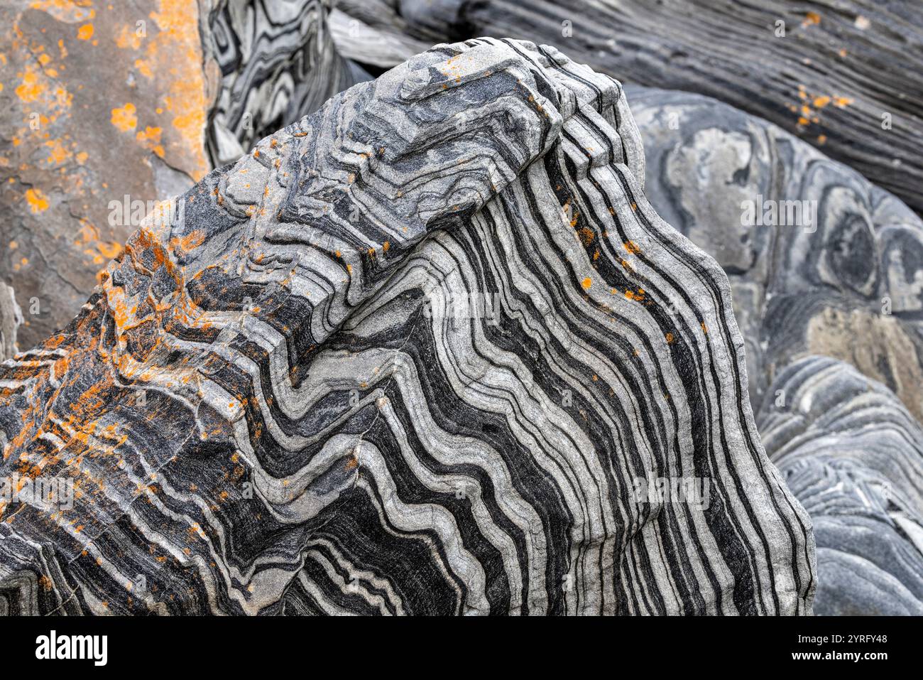 Zebra schist hi-res stock photography and images - Alamy