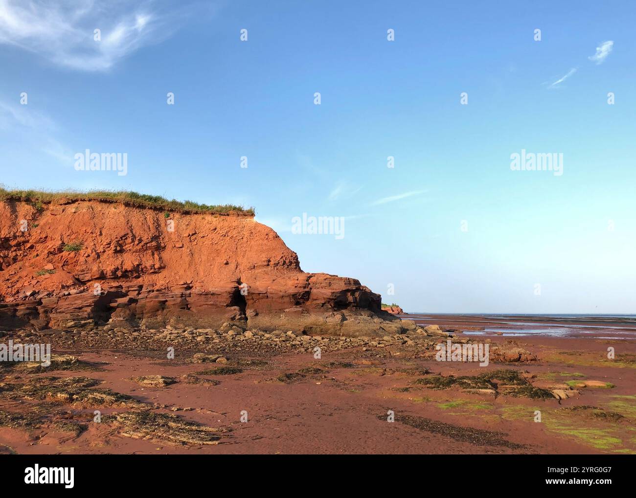 An abandoned blue tugboat moored to a dock covered with debris in ...