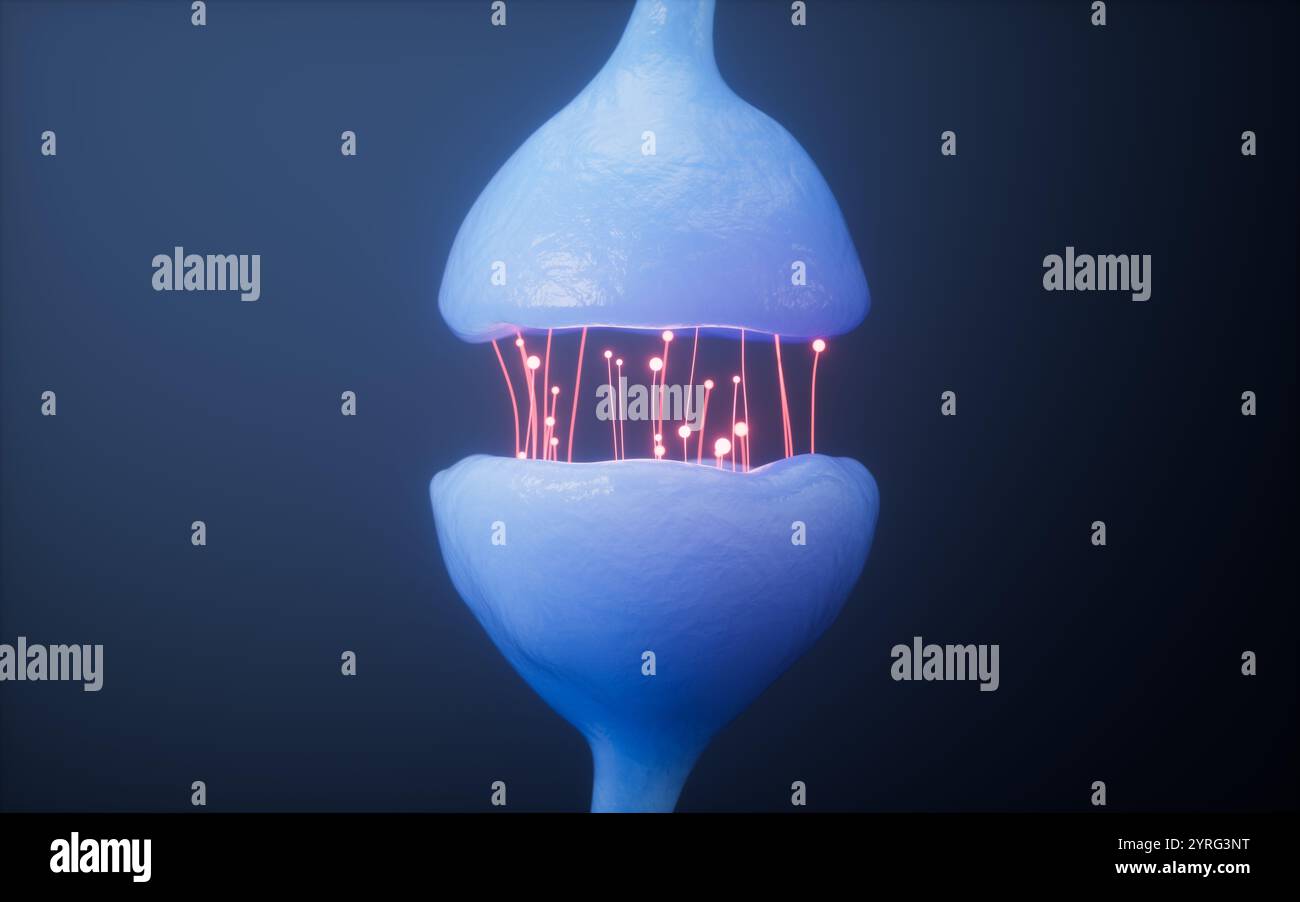 Neurons and synapses, nervous system concept, 3d rendering. 3d illustration Stock Photo - Alamy