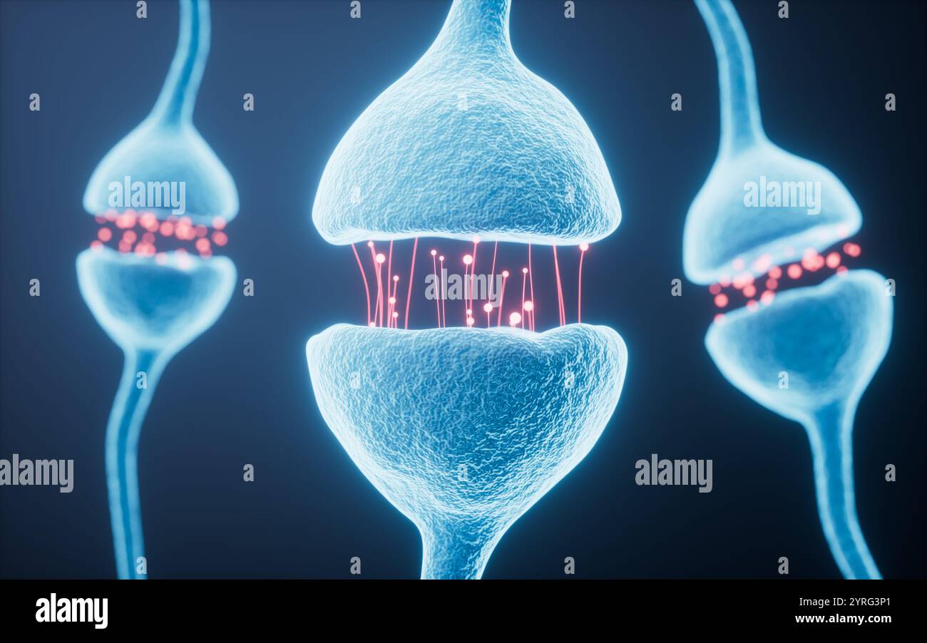 Neurons and synapses, nervous system concept, 3d rendering. 3d illustration Stock Photo - Alamy