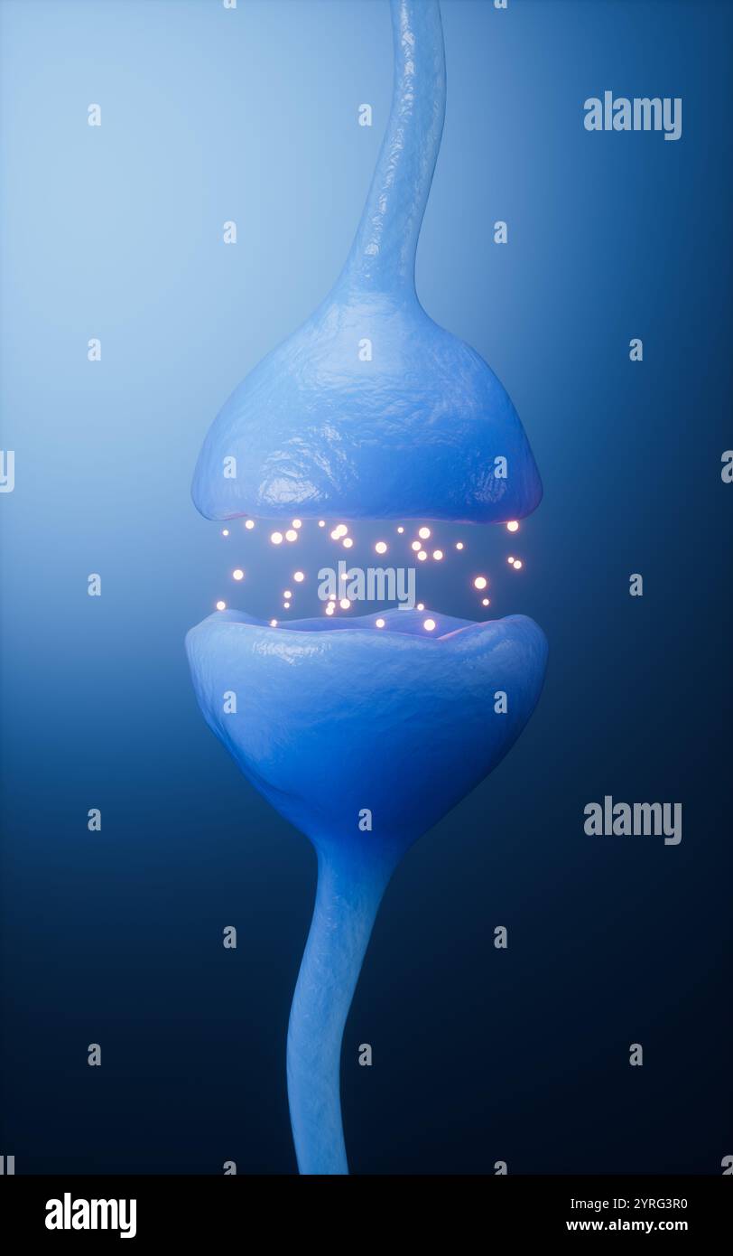 Neurons and synapses, nervous system concept, 3d rendering. 3d illustration Stock Photo - Alamy