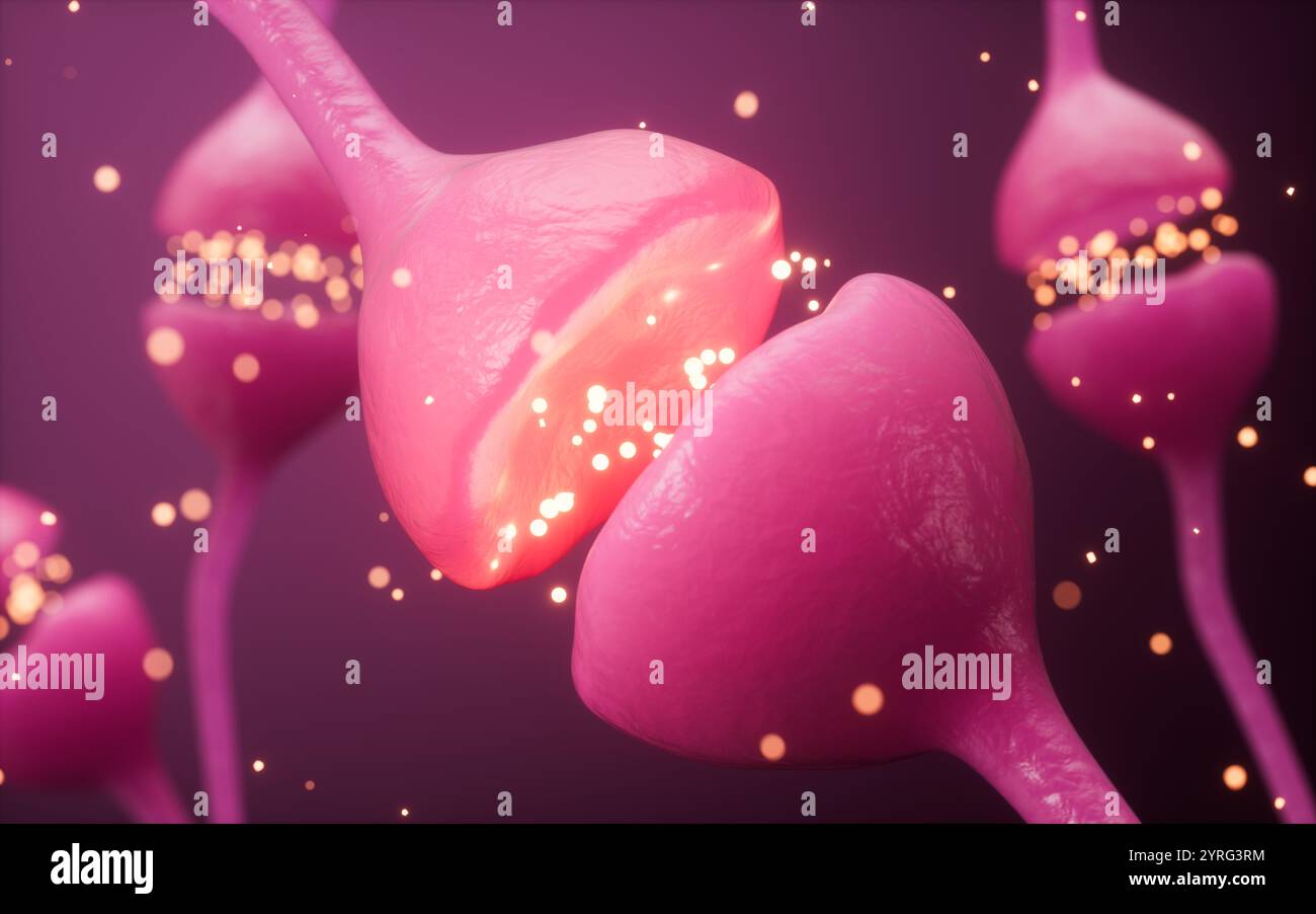 Neurons and synapses, nervous system concept, 3d rendering. 3d illustration Stock Photo - Alamy