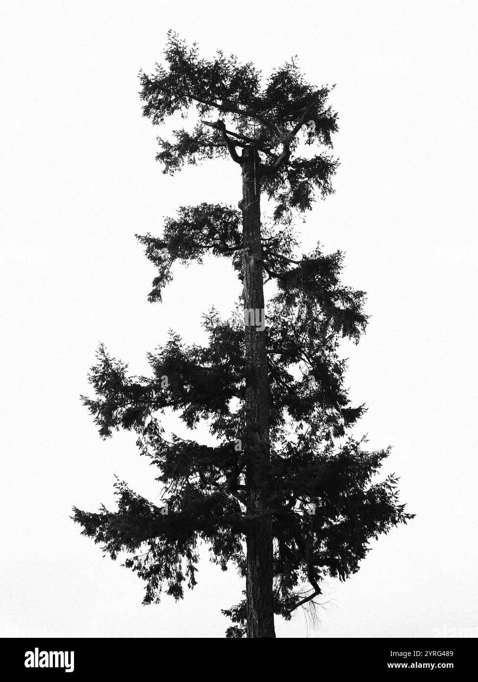 More or less Black and White Stock Photos & Images - Alamy