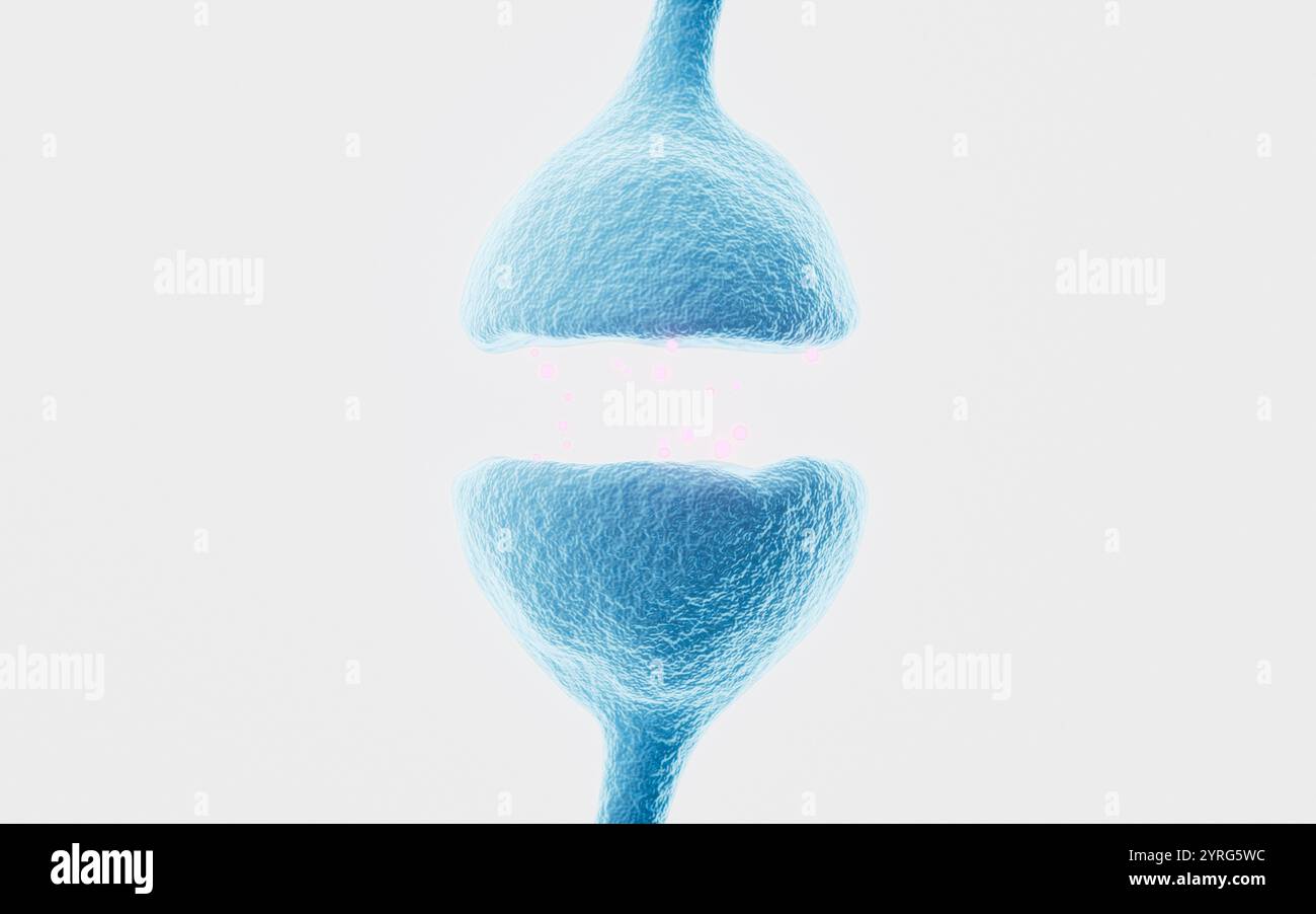 Neurons and synapses, nervous system concept, 3d rendering. 3d illustration Stock Photo - Alamy