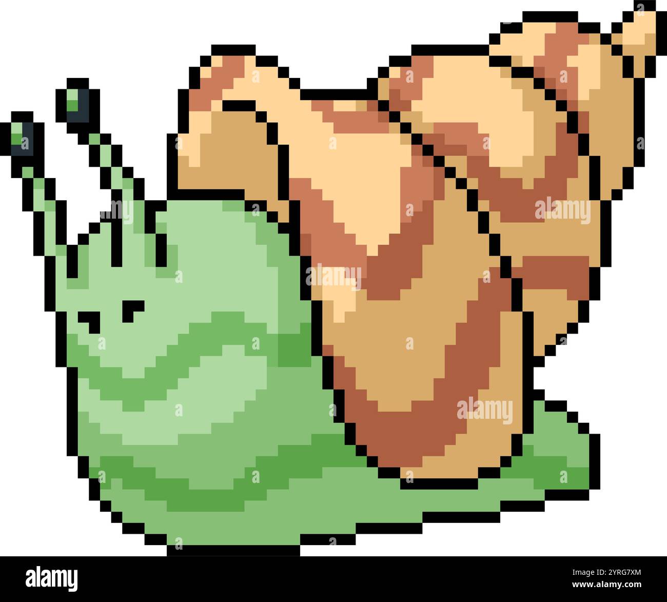 Green snail shell Stock Vector Images - Alamy