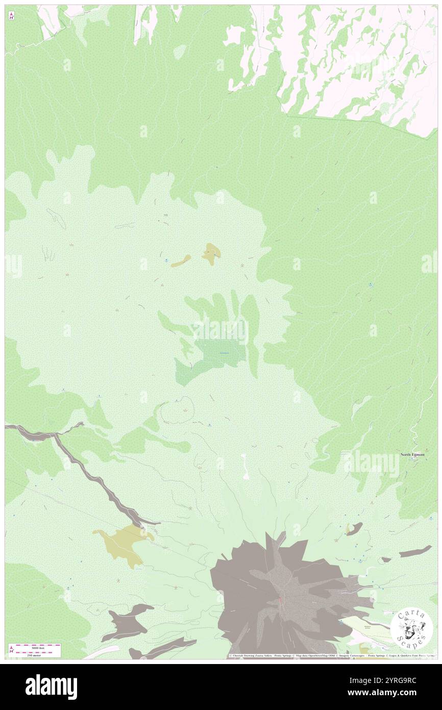Ahukawakawa (sphagnum moss swamp), , NZ, New Zealand, Taranaki, S 39 14 ...