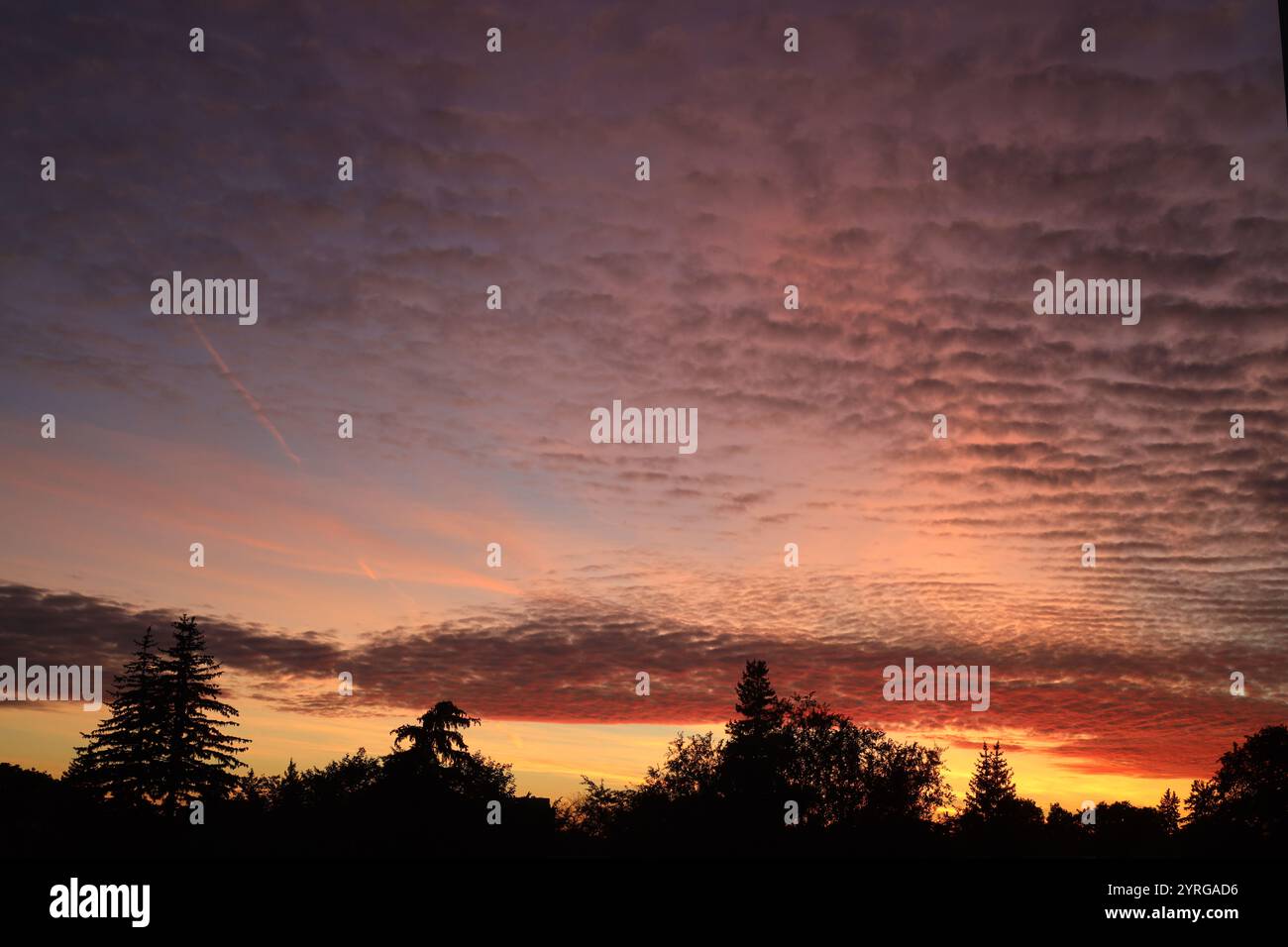 Red and purple scattered clouds hi-res stock photography and images - Alamy