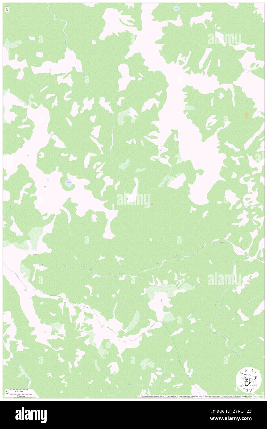 Kakapo saddle hi-res stock photography and images - Alamy