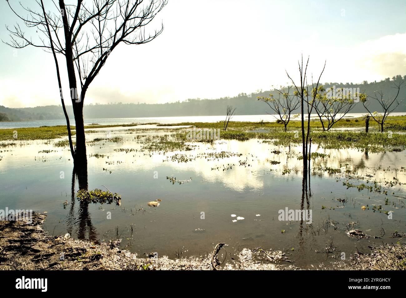 Buyan Lake in Buleleng, Bali, Indonesia Stock Photo - Alamy