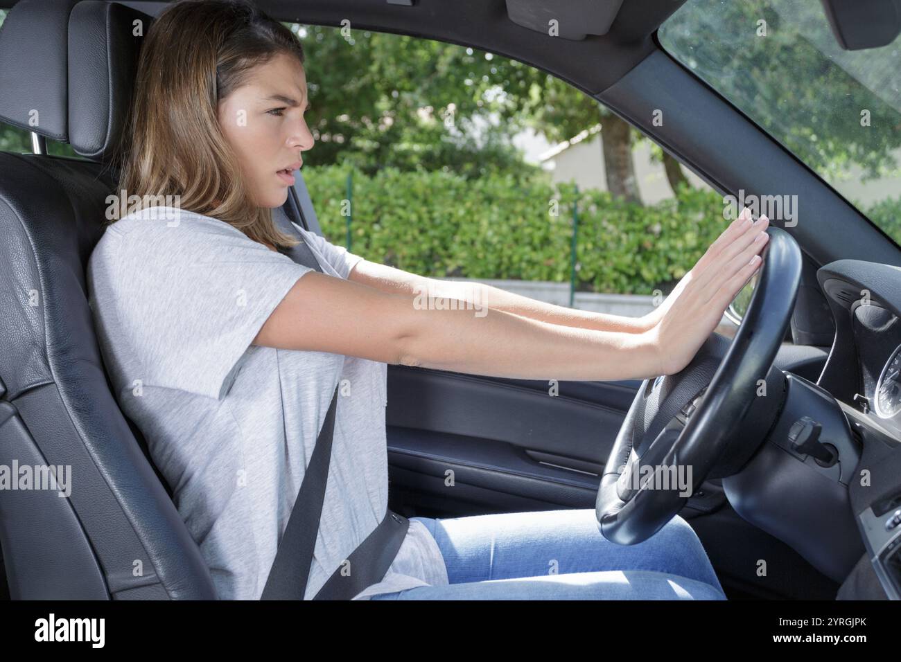 Horn identification hi-res stock photography and images - Alamy