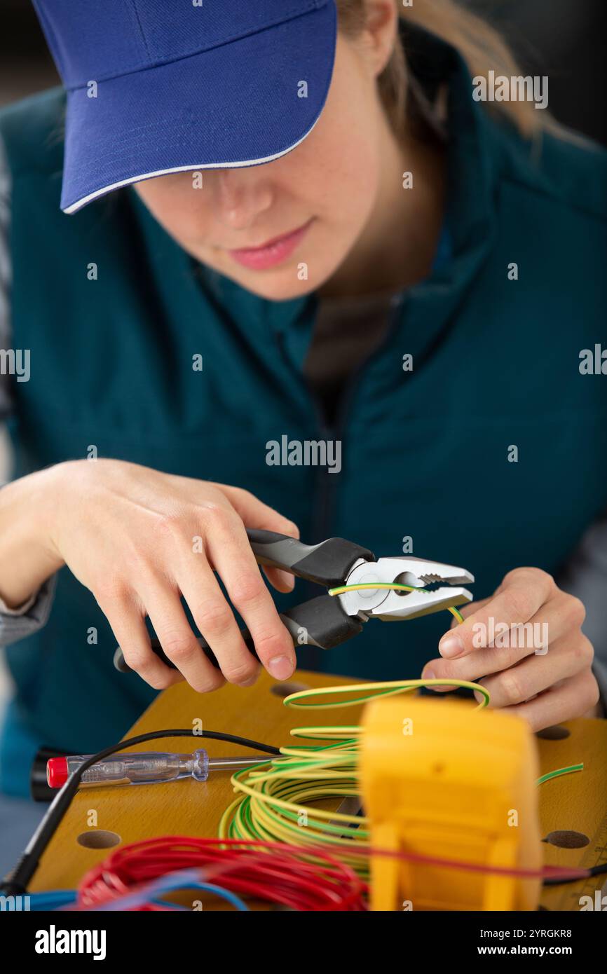 female worker is cutting cables Stock Photo - Alamy