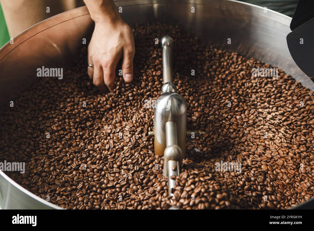 Hand Checking Coffee Bean Quality in Rotating Cooling Tray Stock Photo ...