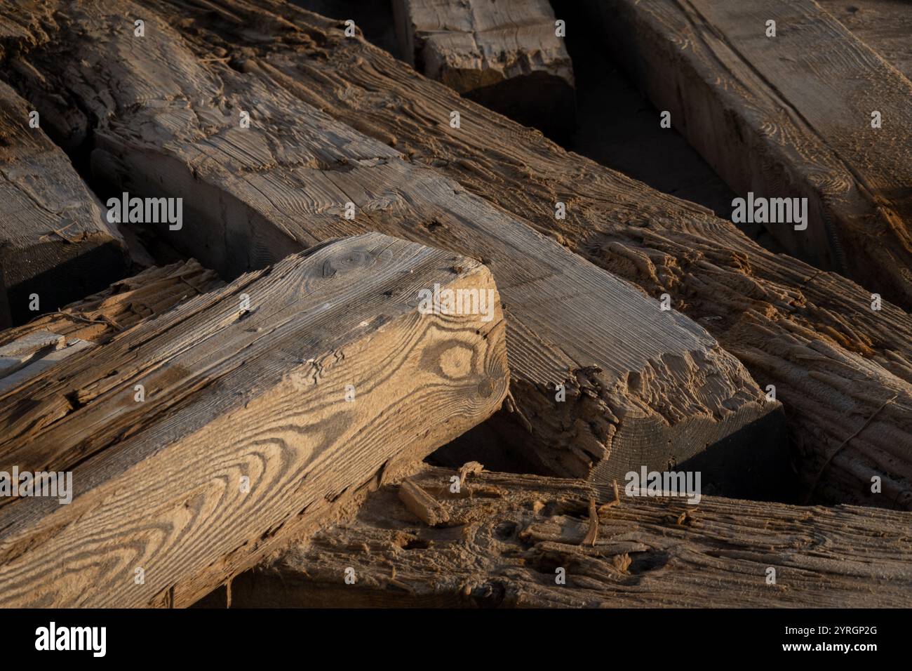 Detailed view of textured wooden beams showing weathering and rich ...