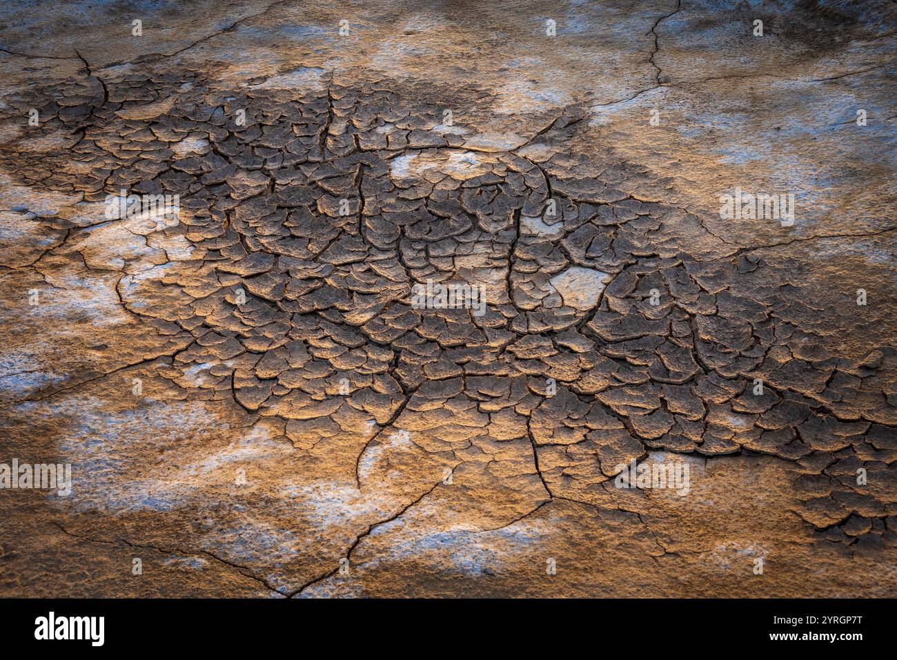 Sunlight and shadows play across cracked earth surface. Textured ...