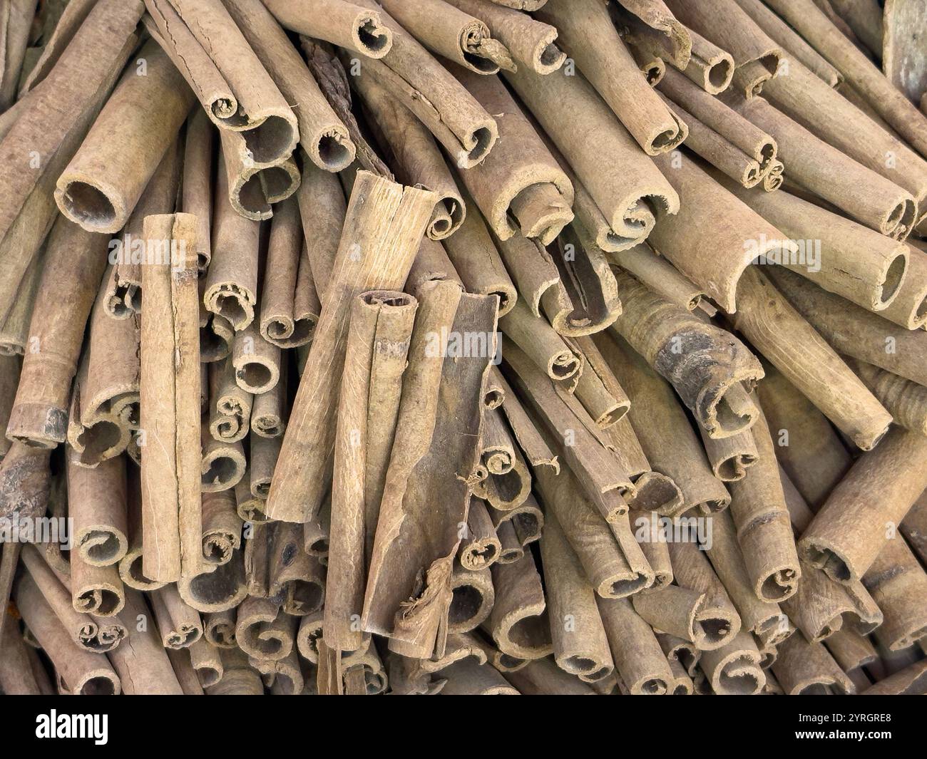 Pile of cinnamon Stock Photo - Alamy