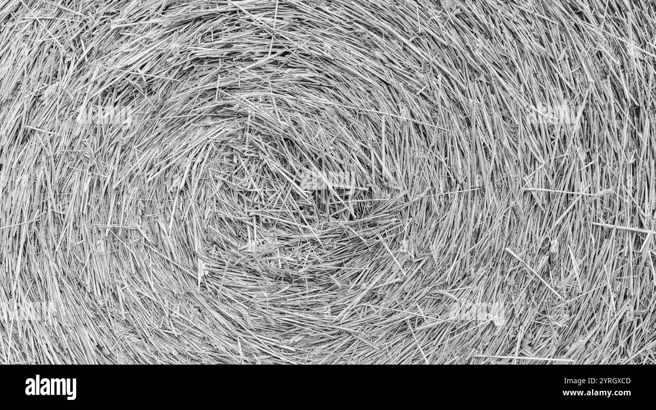 Hay bale roll Black and White Stock Photos & Images - Alamy
