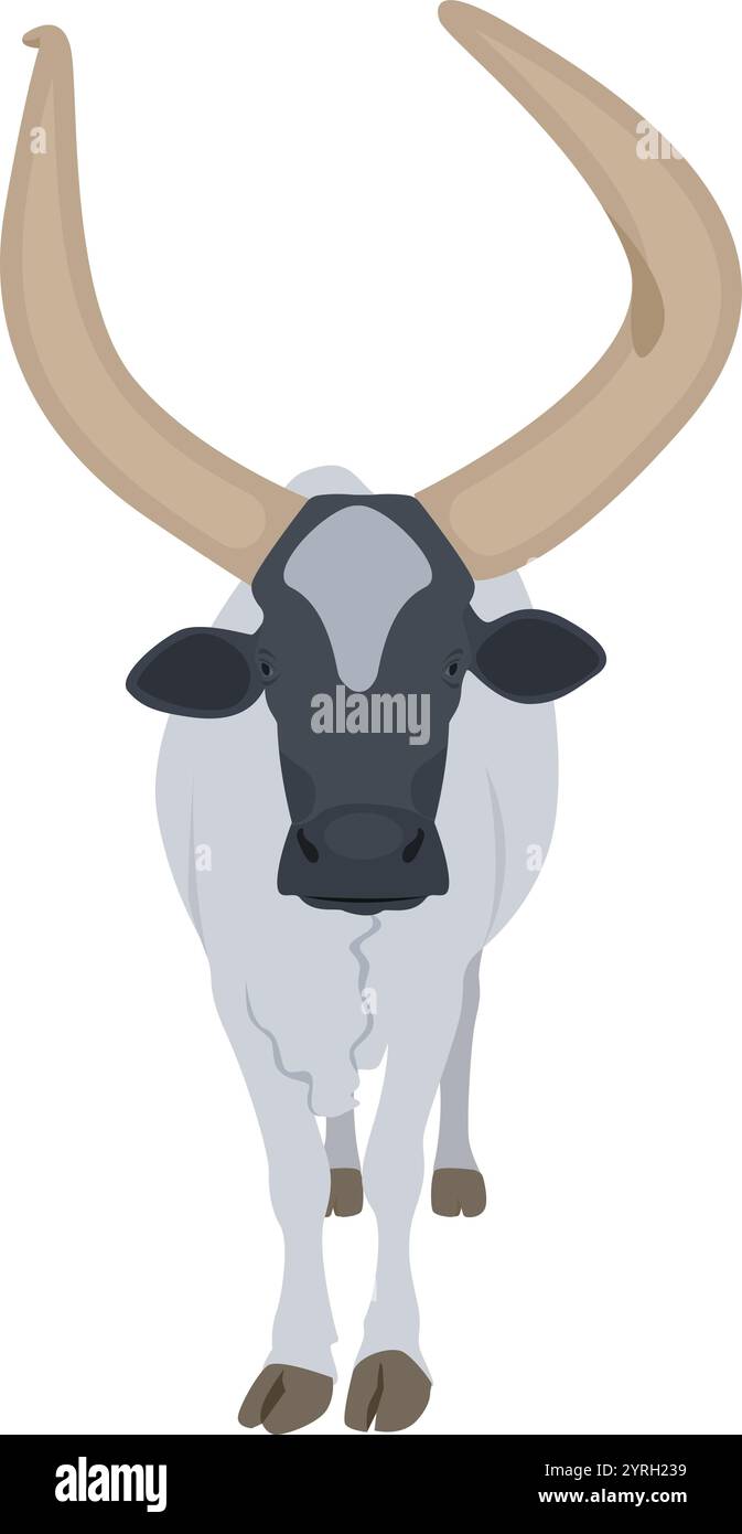 Ankole watusi cattle Big Horn, Long horn cow. African bull Stock Vector ...