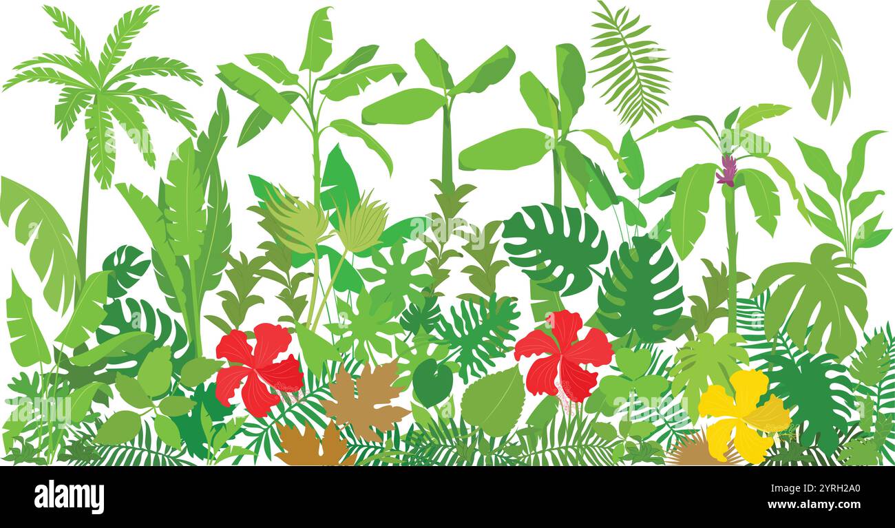 Wall Art Vector Illustration, Jungle Palms Wallpaper Mural, Botanic ...