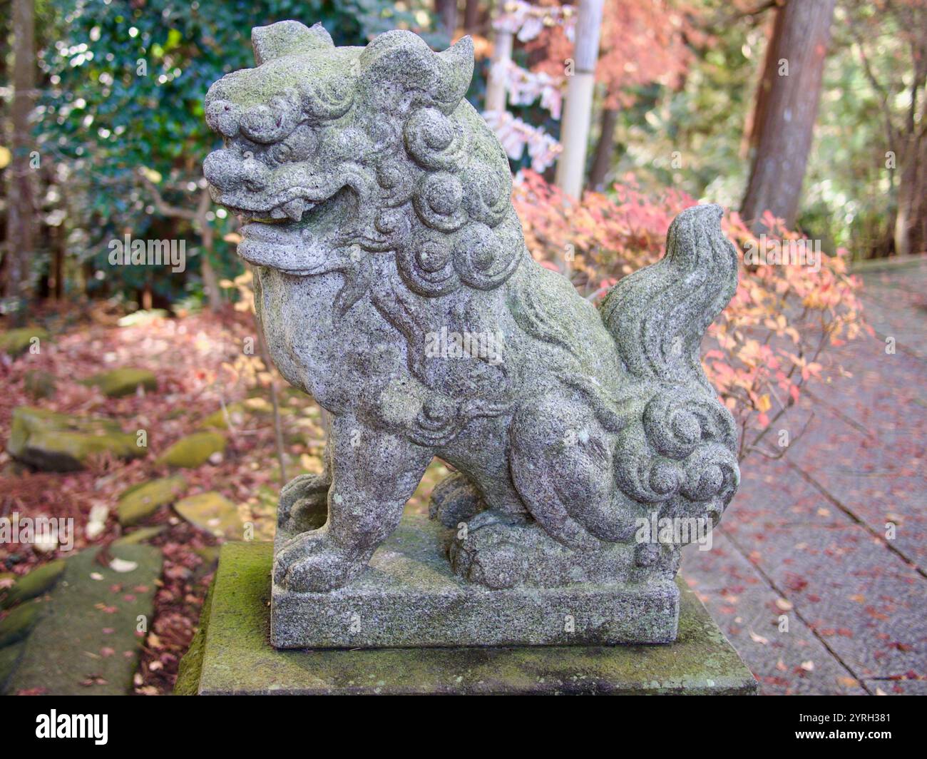 A stone lion statue at Chuson-ji Temple in Hiraizumi, Japan Stock Photo ...