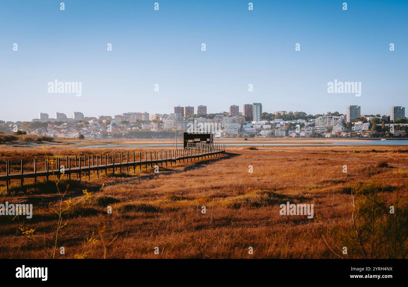 Long wooden walkway crossing marshland leading to an observation point ...